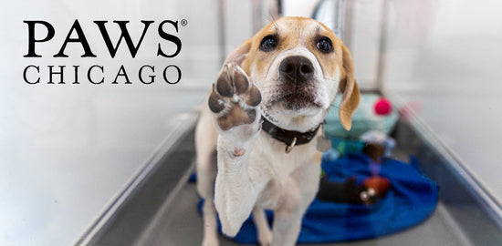 Shop PAWS Chicago – pawschicago
